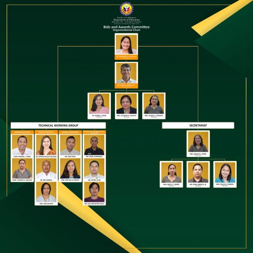 Bids and Awards Committee - Cebu City